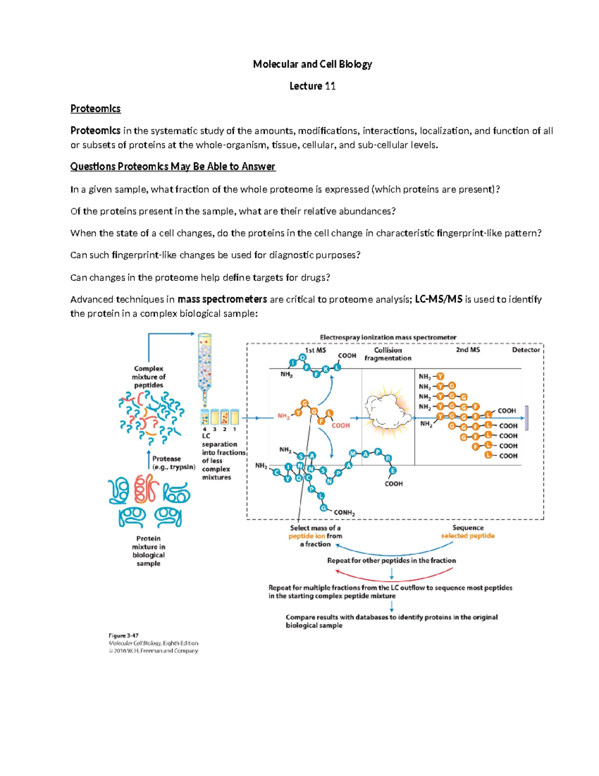 Lecture 11 - Molecular and Cell Biology Lecture 11 Proteomics ...
