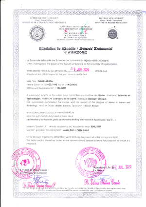 MLA+template - Do a 300-400 words comparison between Computer Assisting Coding and Alone Coder ...