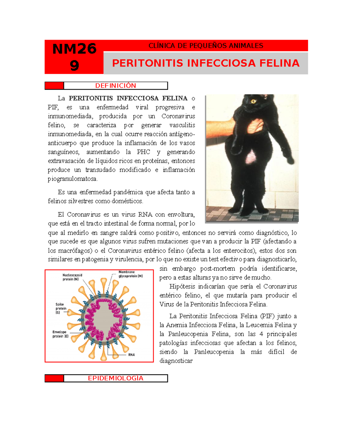 269 Peritonitis Infecciosa Felina - NM26 DE ANIMALES 9 PERITONITIS ...