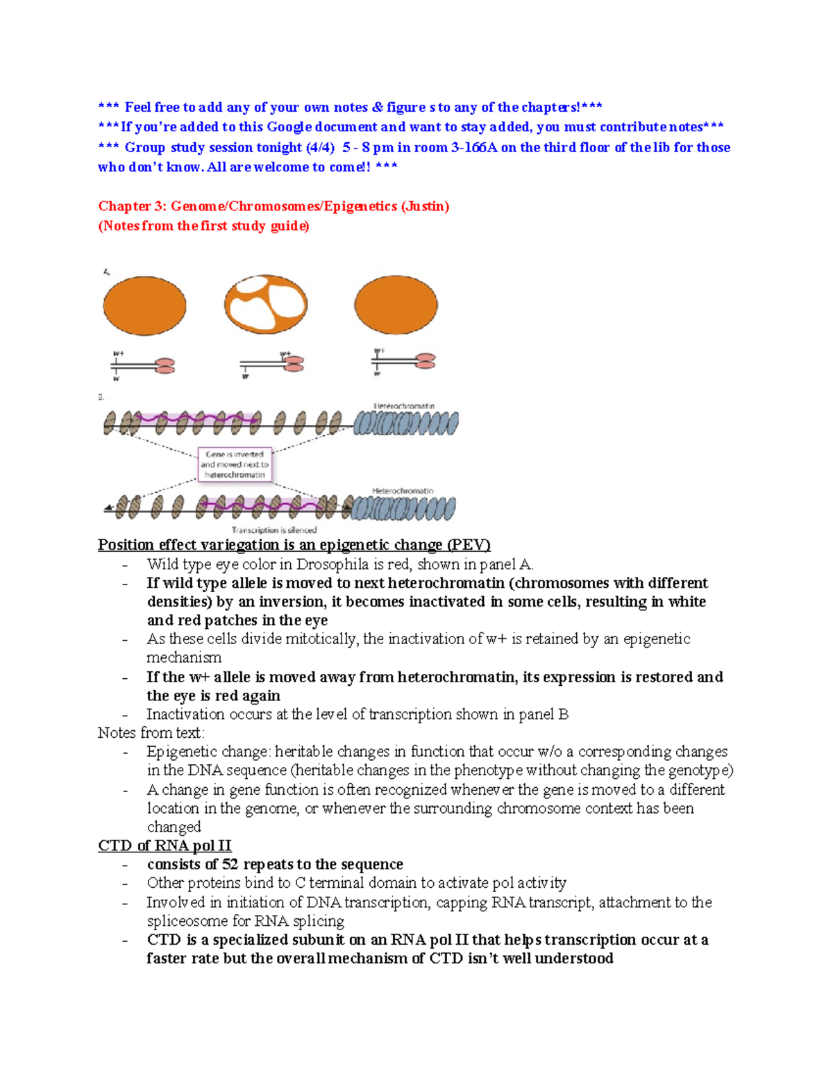 Summary - lecture - Study guide for exam 2 - Feel free to add any of ...