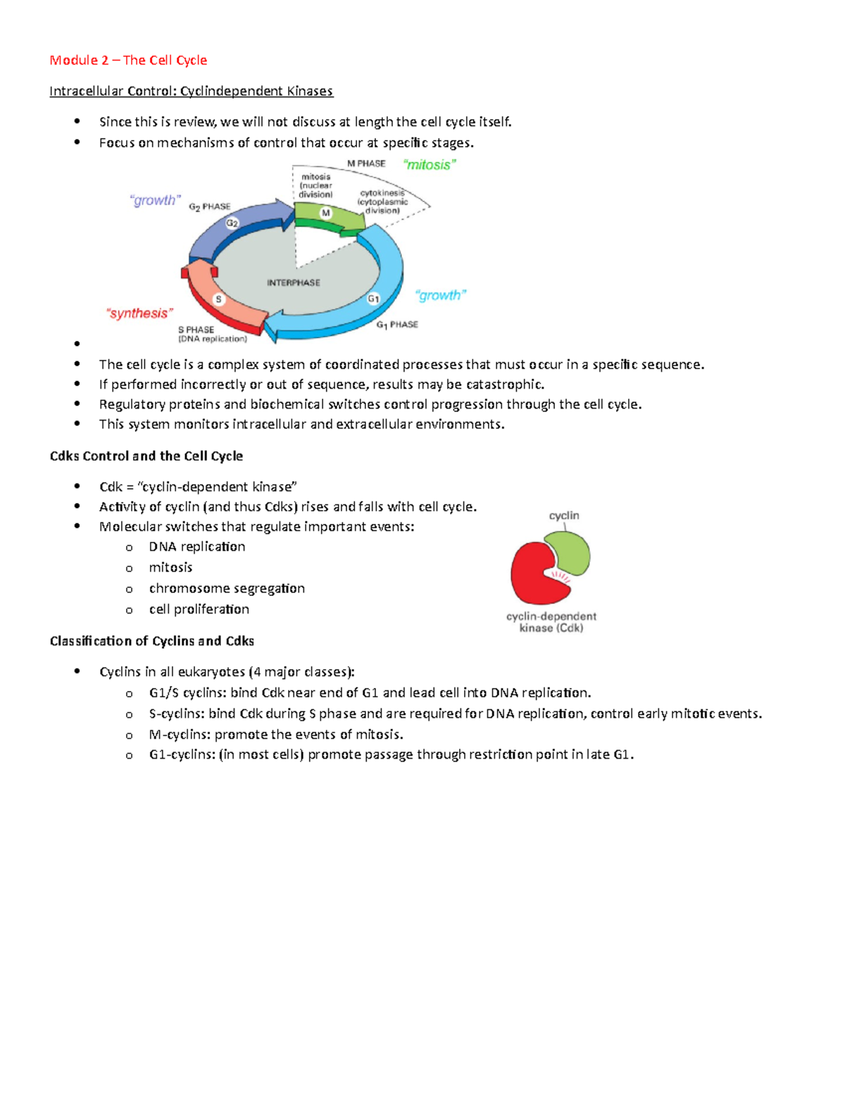 Module 3 - The Cell Cycle - Module 2 – The Cell Cycle Intracellular ...