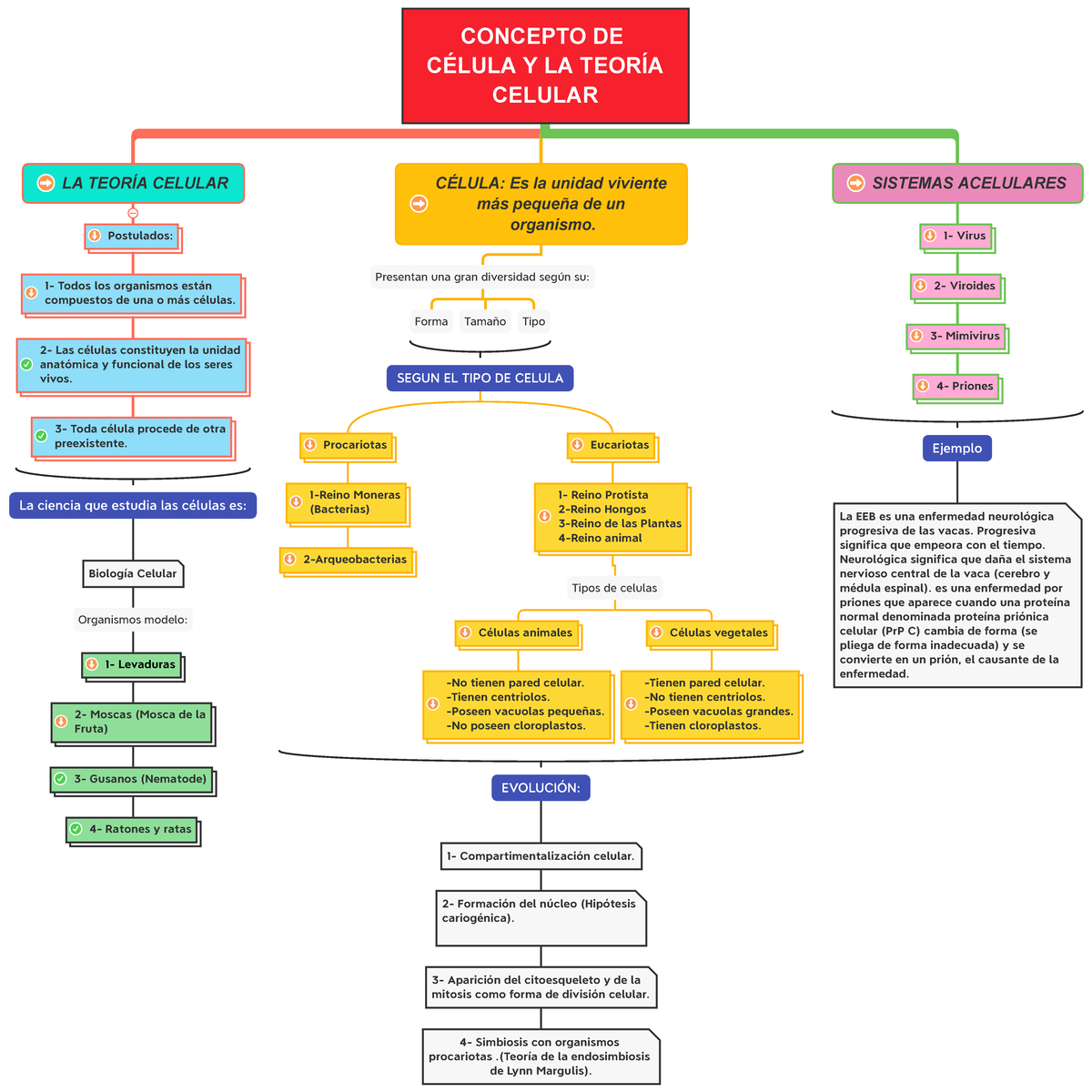 Concepto DE Célula Y LA Teoría Celular - CONCEPTO DE CÉLULA Y LA TEORÍA ...