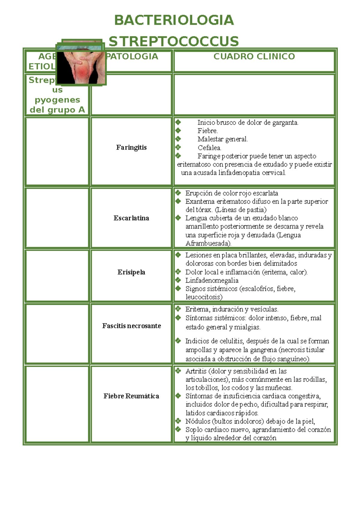 Estafilococos cuadro 2 - AGENTE ETIOLOGICO PATOLOGIA CUADRO CLINICO ...