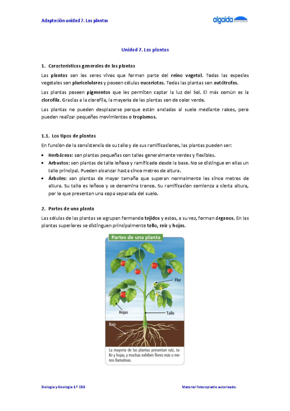 3w132eeqwqeeqeqeqe - Unidad 7. Las plantas 1. Características generales ...