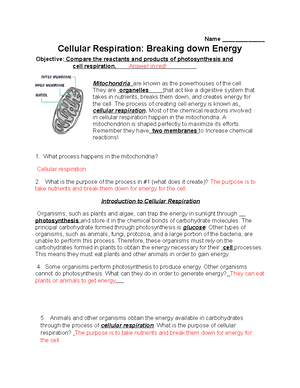 Leap 2025 biology practice test answer key - Answer Key This document ...