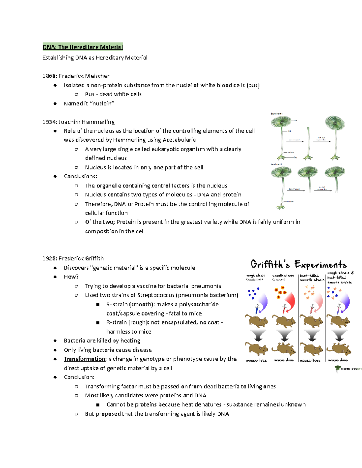 Genetics - Unit 4 SBI4U - all important topics for the unit - DNA: The ...