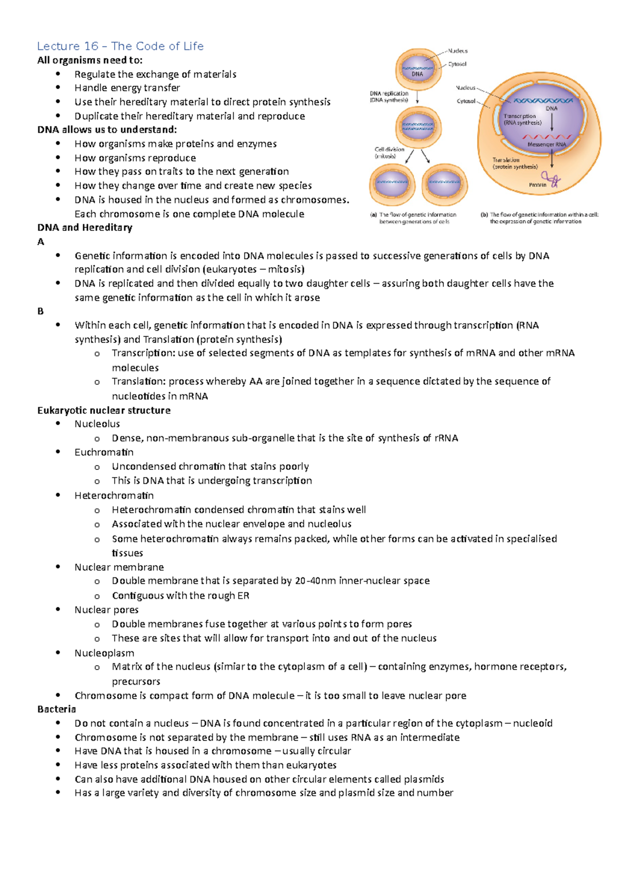 Lecture 16 onwards - Lecture 16 – The Code of Life All organisms need ...