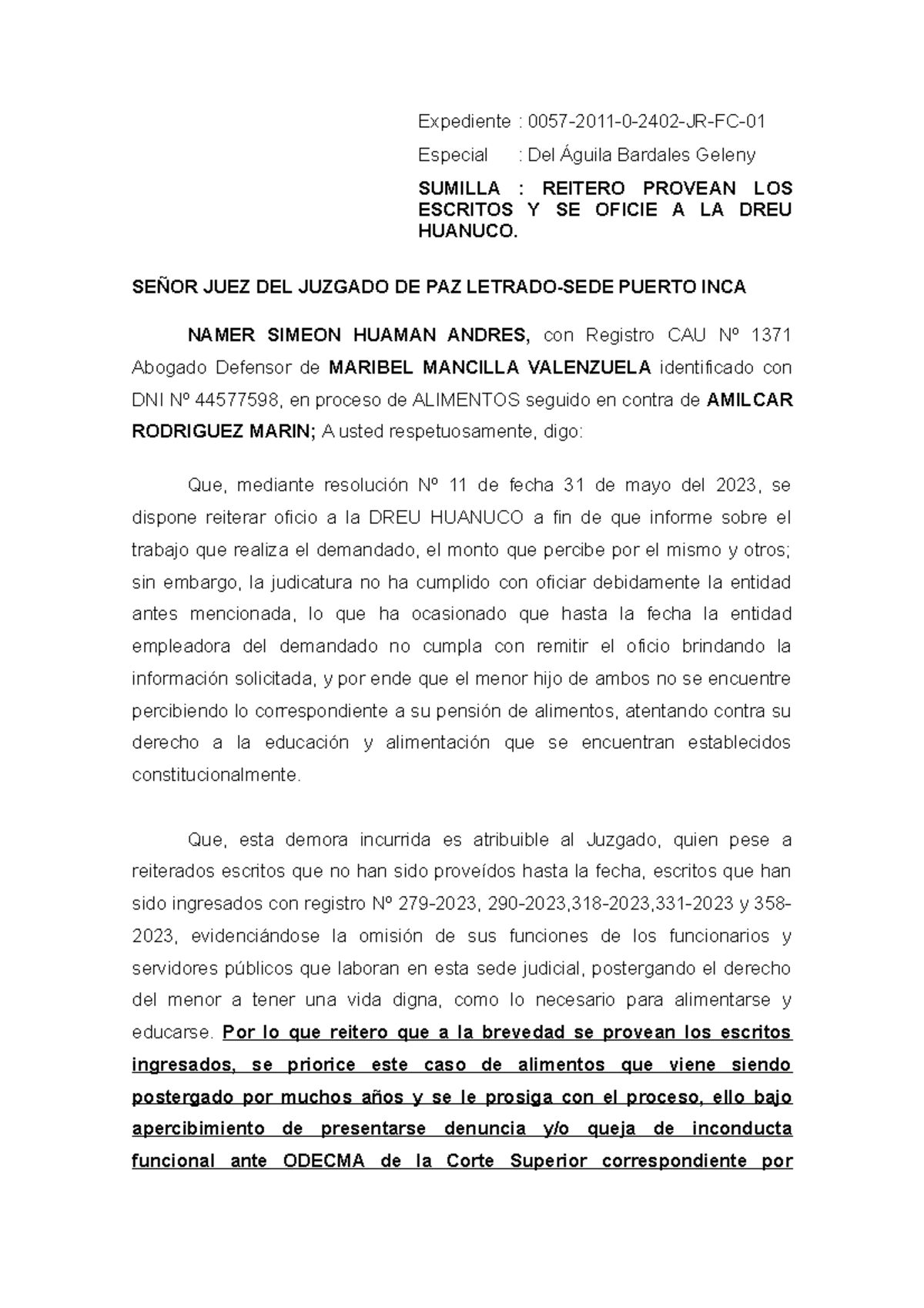 Reitero Provean LOS Escritos Y SE Oficie A LA DREU Huanuco - Expediente ...