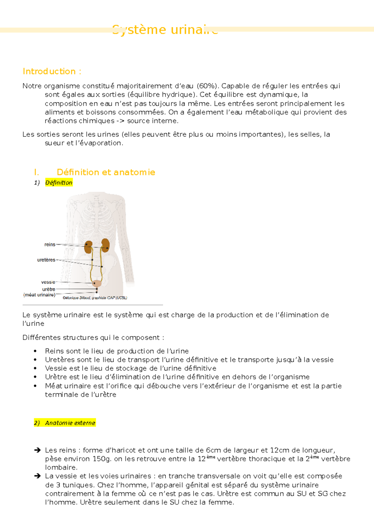 Système urinaire - Système urinaire Introduction : Notre organisme ...