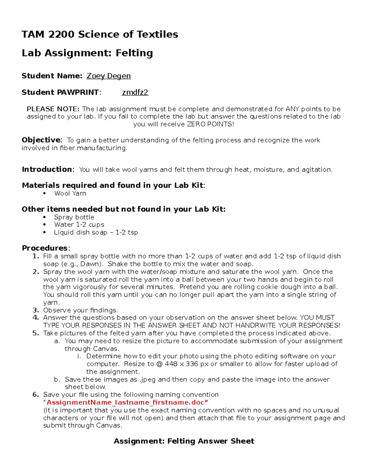 Felting- Individual Assignment - TAM 2200 Science of Textiles Lab ...