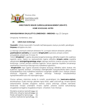 NTT DOC-2 - summary for isixhosa - IBHUKU LOKUQEQESHA UKUFUNDA ...