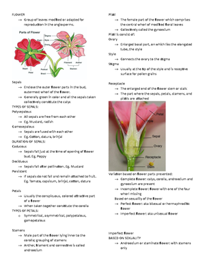 Summary of Botany and Its Importance - Overview of Botany and Its Importance Division of Botany ...