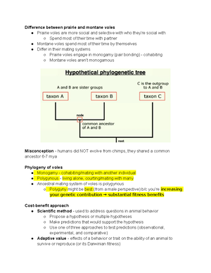 Psych 235 lecture #18 - Polymorphism Background matching or disruptive ...