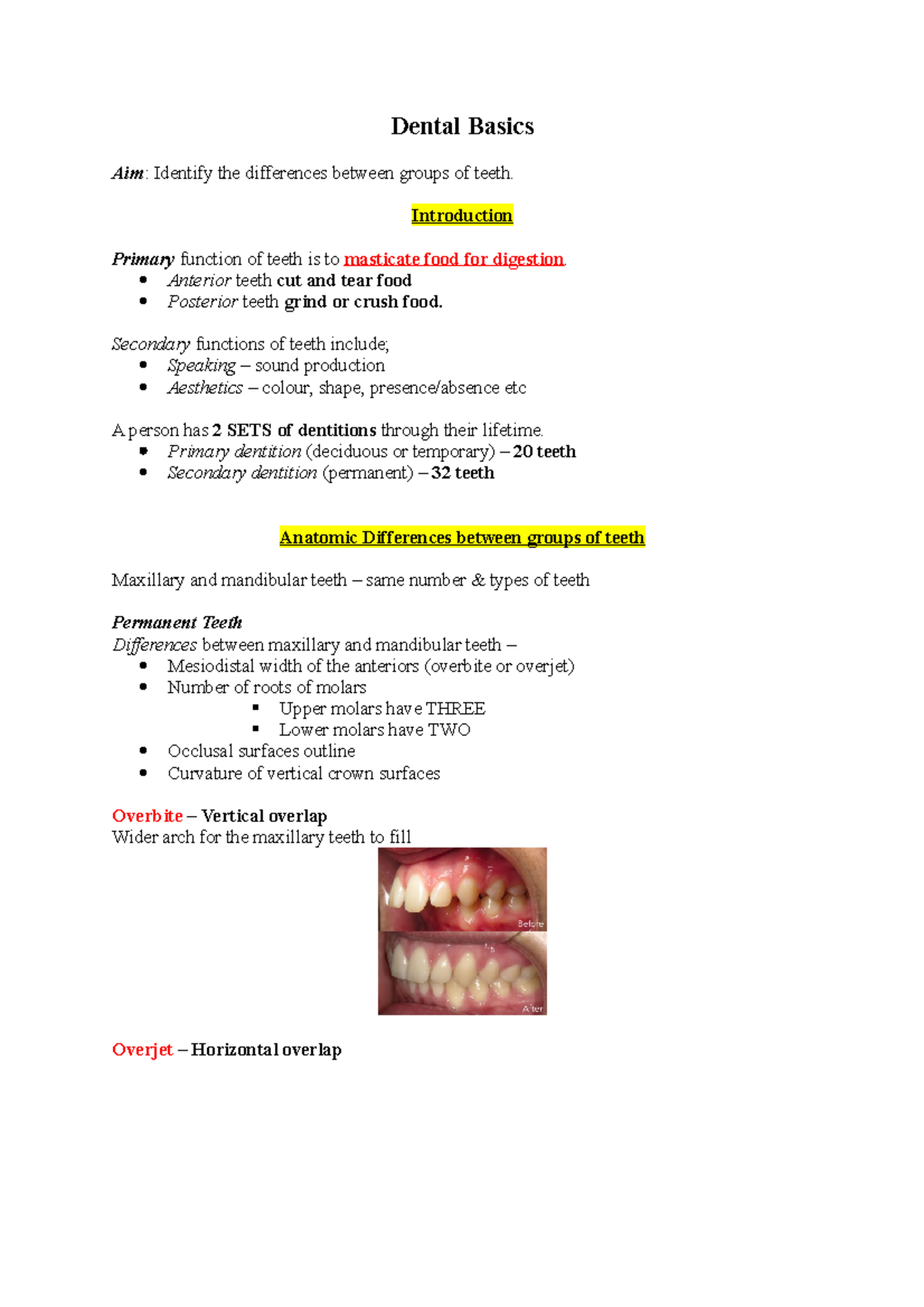 Tooth Development - Dental Basics Aim: Identify the differences between ...