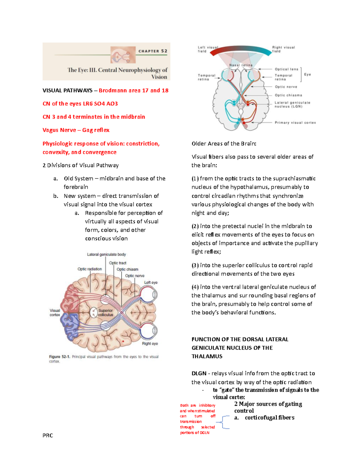 Visual Pathways - Guyton 14th Edition - Chapter 52 - VISUAL PATHWAYS ...