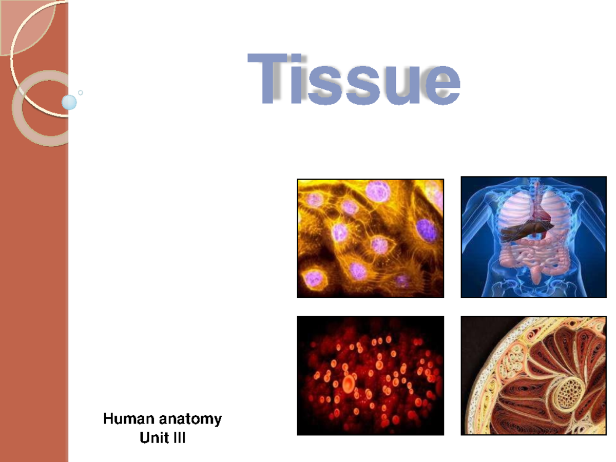 Human tissue - This notes are related to first year bsc nursing ...