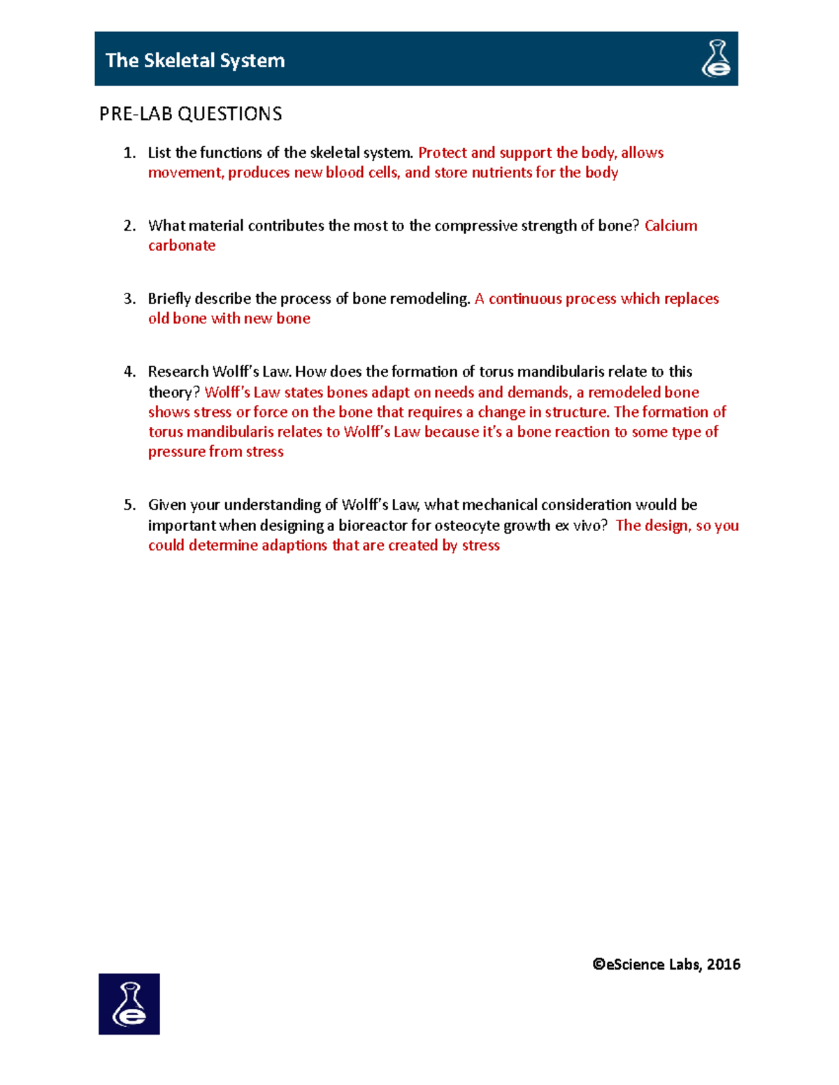 Lab 6 - Human Anatomy eScience lab 6 - PRE-LAB QUESTIONS 1. List the functions of the skeletal ...
