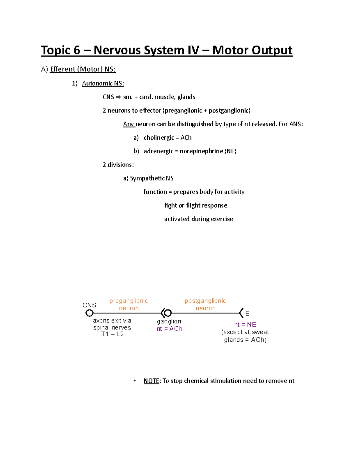 Topic 6 - Nervous System IV - Motor Output - Topic 6 – Nervous System ...