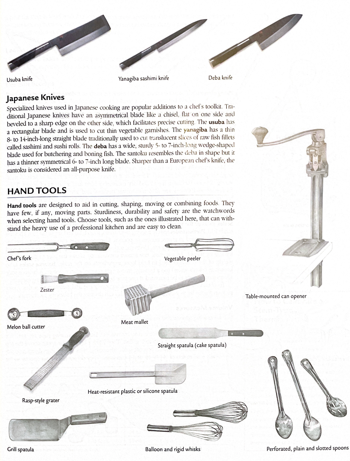 Tools and Equipment Review 4 - FSS 1203C - Studocu