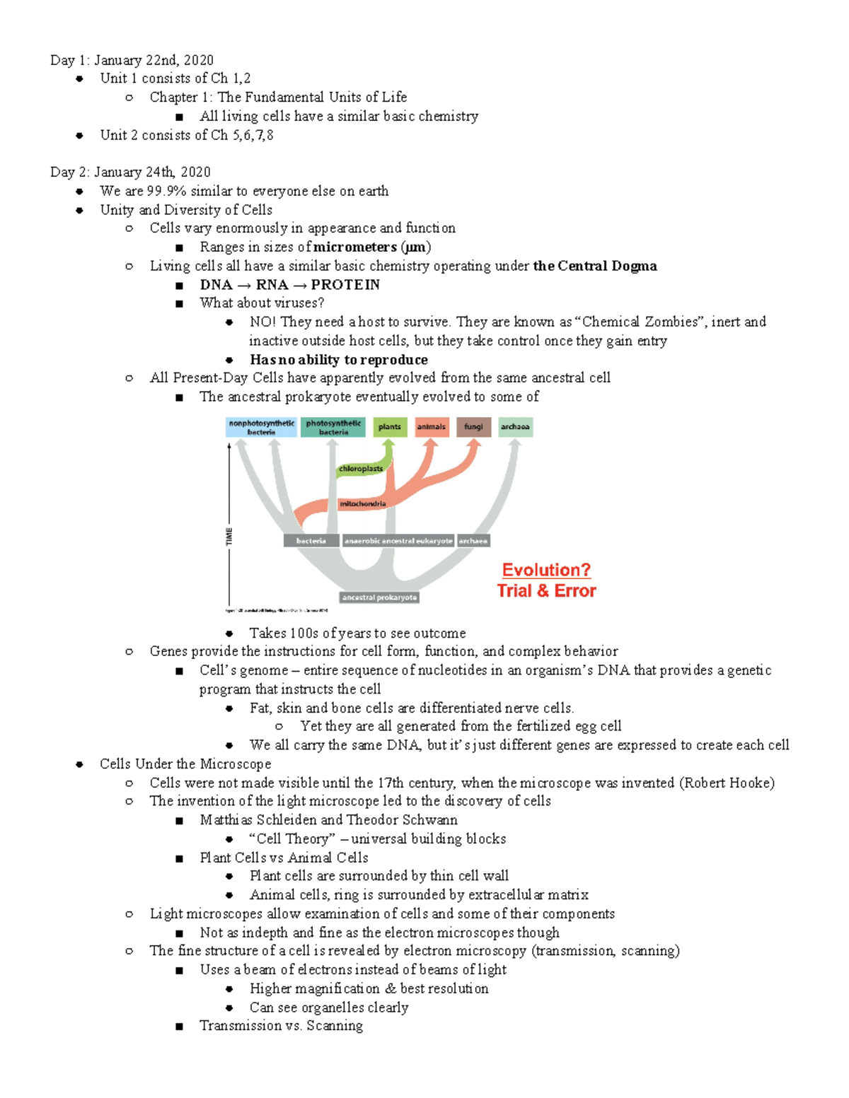 Exam 1 Material - Summary Fundamentals of Cell And Development Biology ...