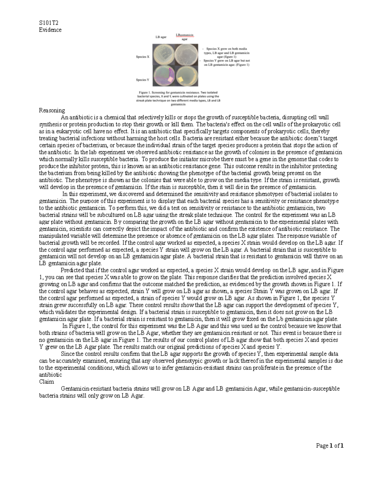 Simon-Lindsay S101 Microbiology CER - Page 1 of 1 S101T Evidence ...
