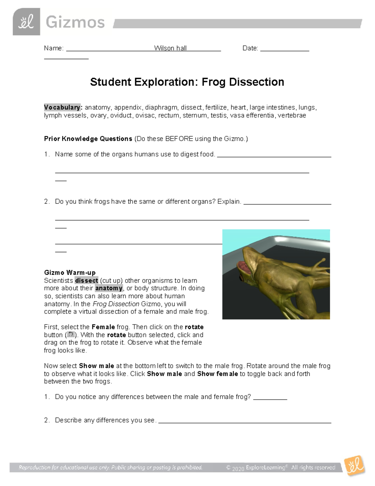 Frog Dissection SEmodified - Name: Wilson hall Date: Student ...