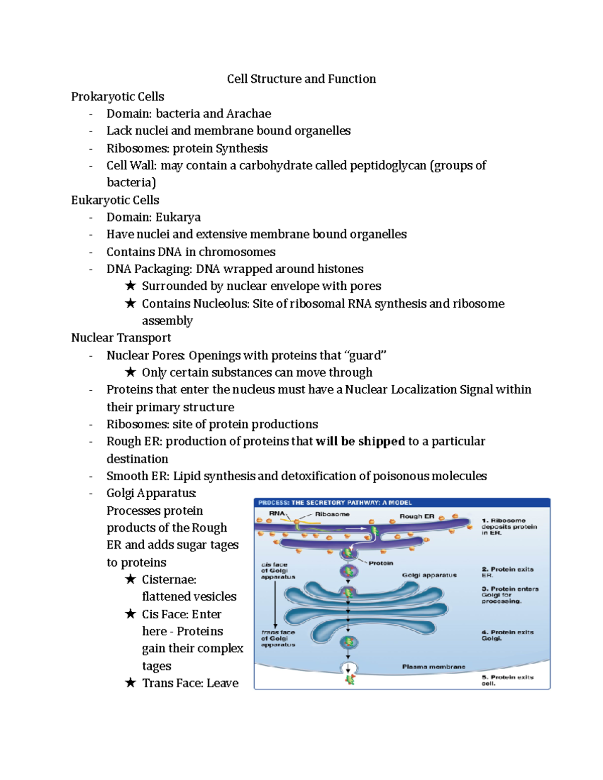 Cell Structure and Function - Cell Structure and Function Prokaryotic ...