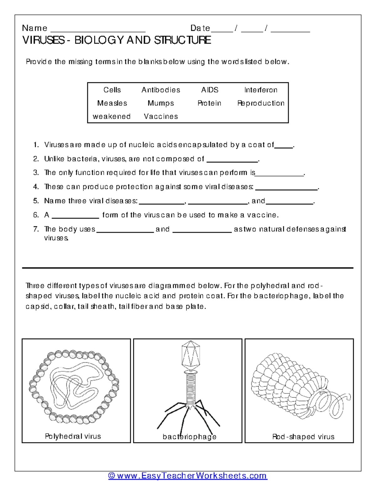 2 - Bio practice worksheet - Name ______________________ Date ...