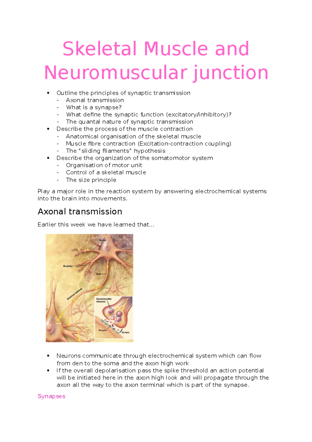 Skeletal Muscle and Neuromuscular junction - Skeletal Muscle and ...