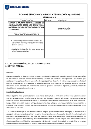 Durr case study - rfvergv - CASE STUDY Dürr Environmental, Inc. Air ...