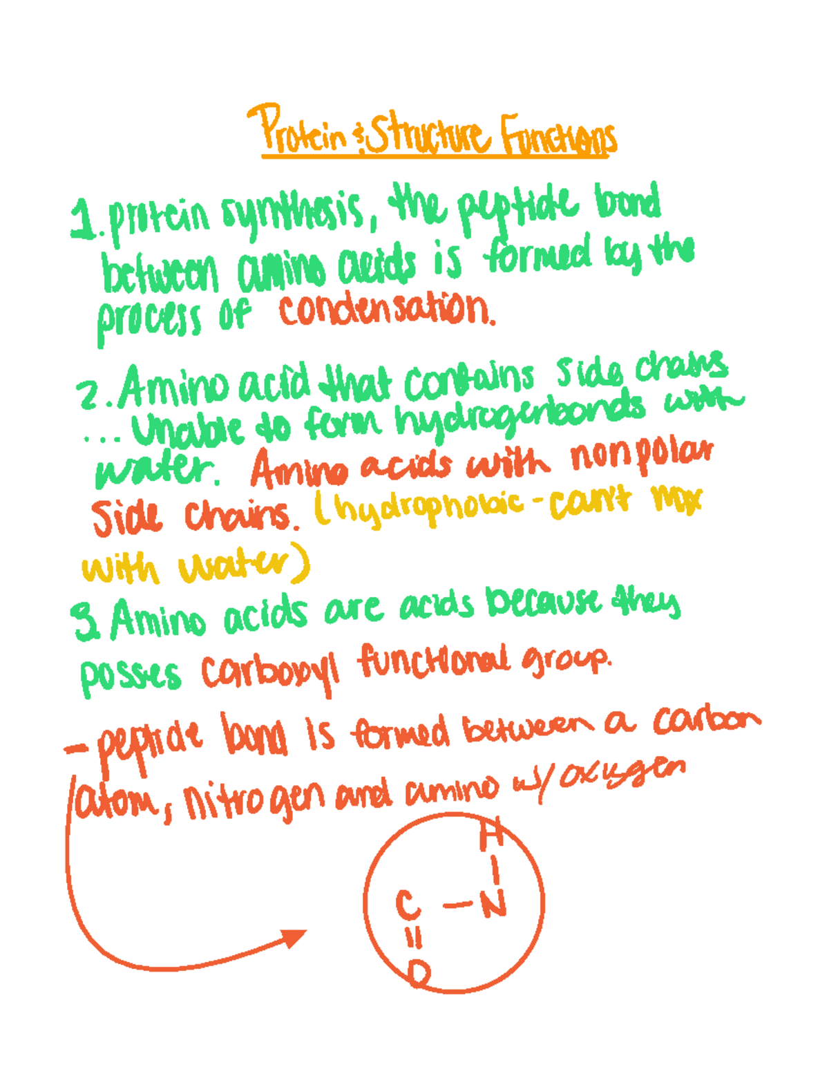Chemistry of Life continued.. - Protein structurefunctions 1 protein ...