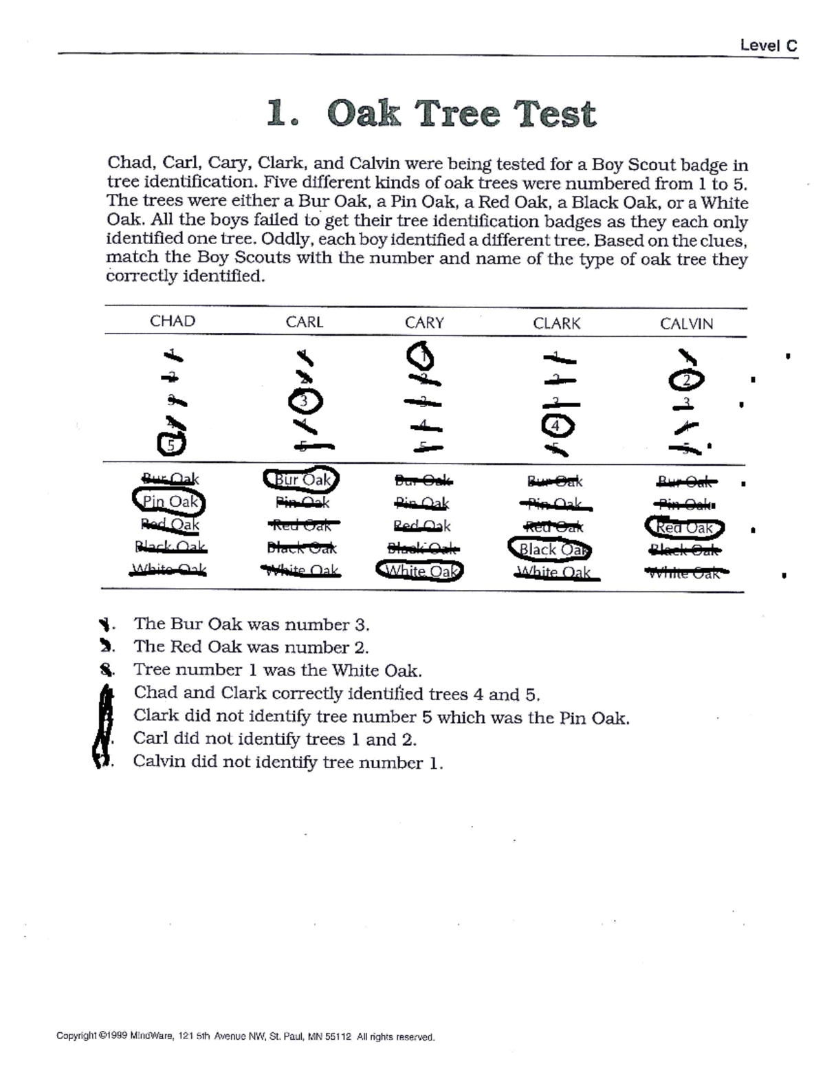 Alexander Avila Flores ( Student) - Perplexors C - 10 Oak Tree Test ...