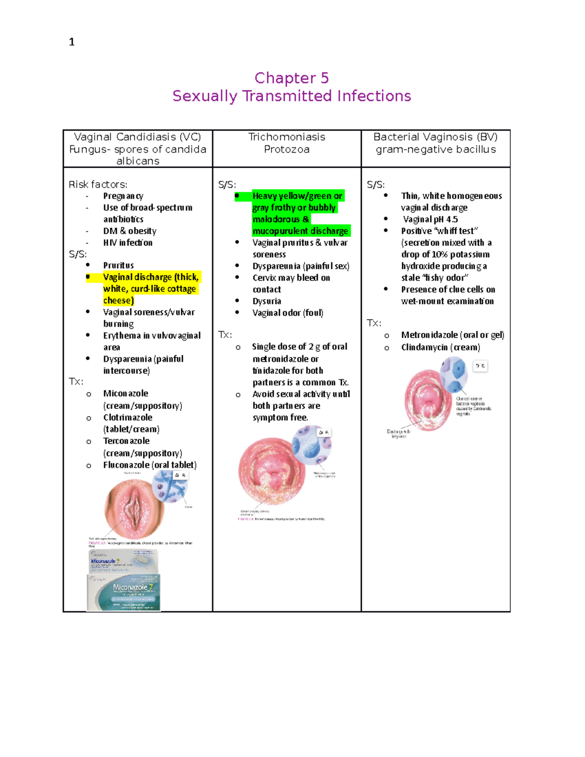 Chapter 5 STIs - STI - Chapter 5 Sexually Transmitted Infections ...