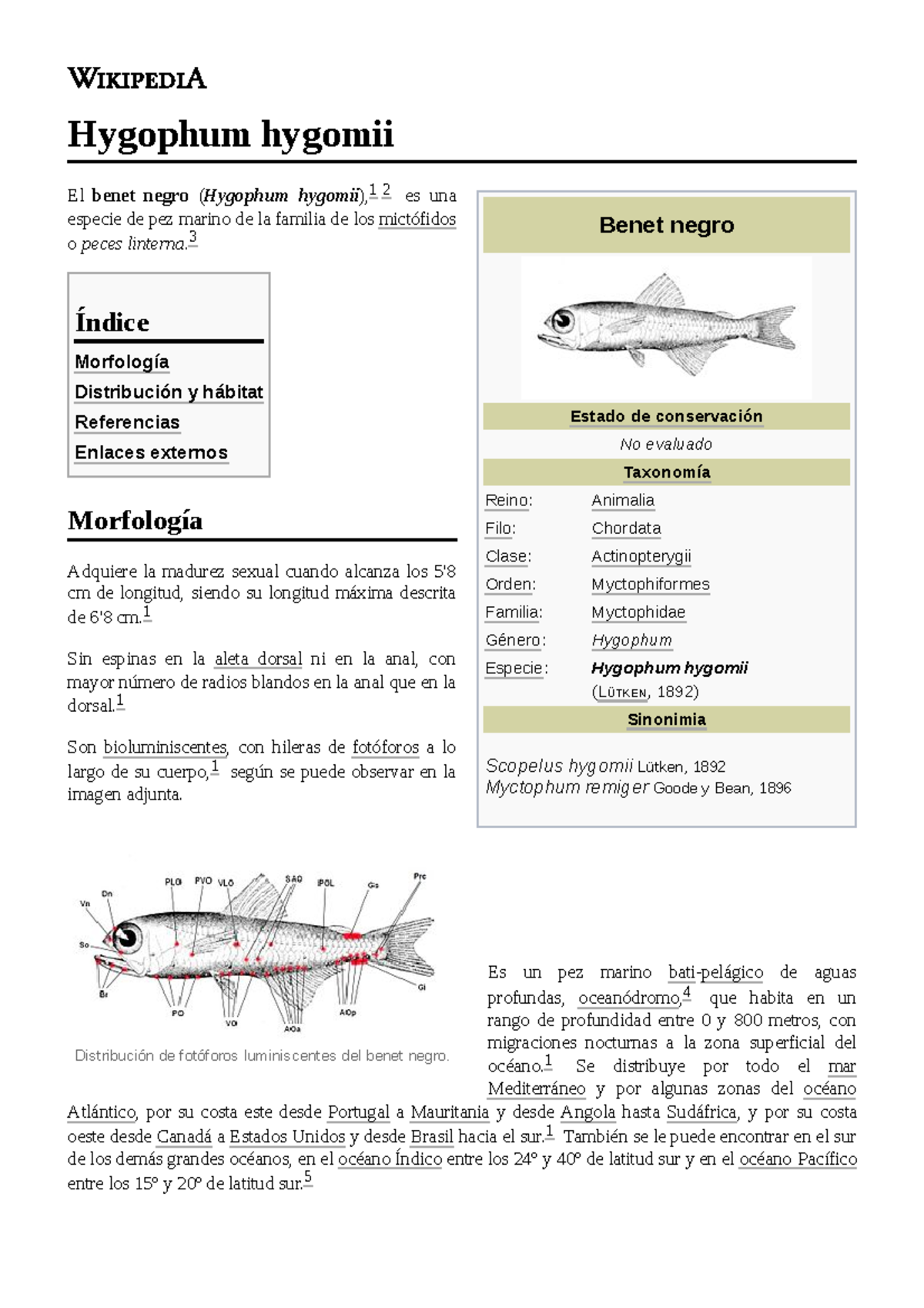 Hygophum hygomii - Apuntes 1 - Benet negro Estado de conservación No ...