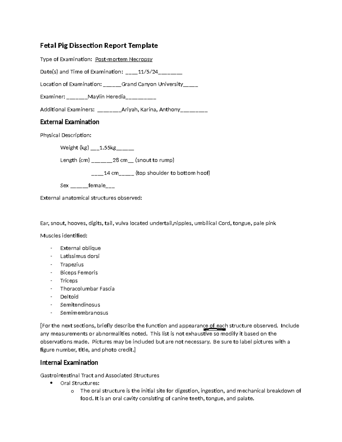 Fetal Pig Dissection Report Template - Include any measurements or ...