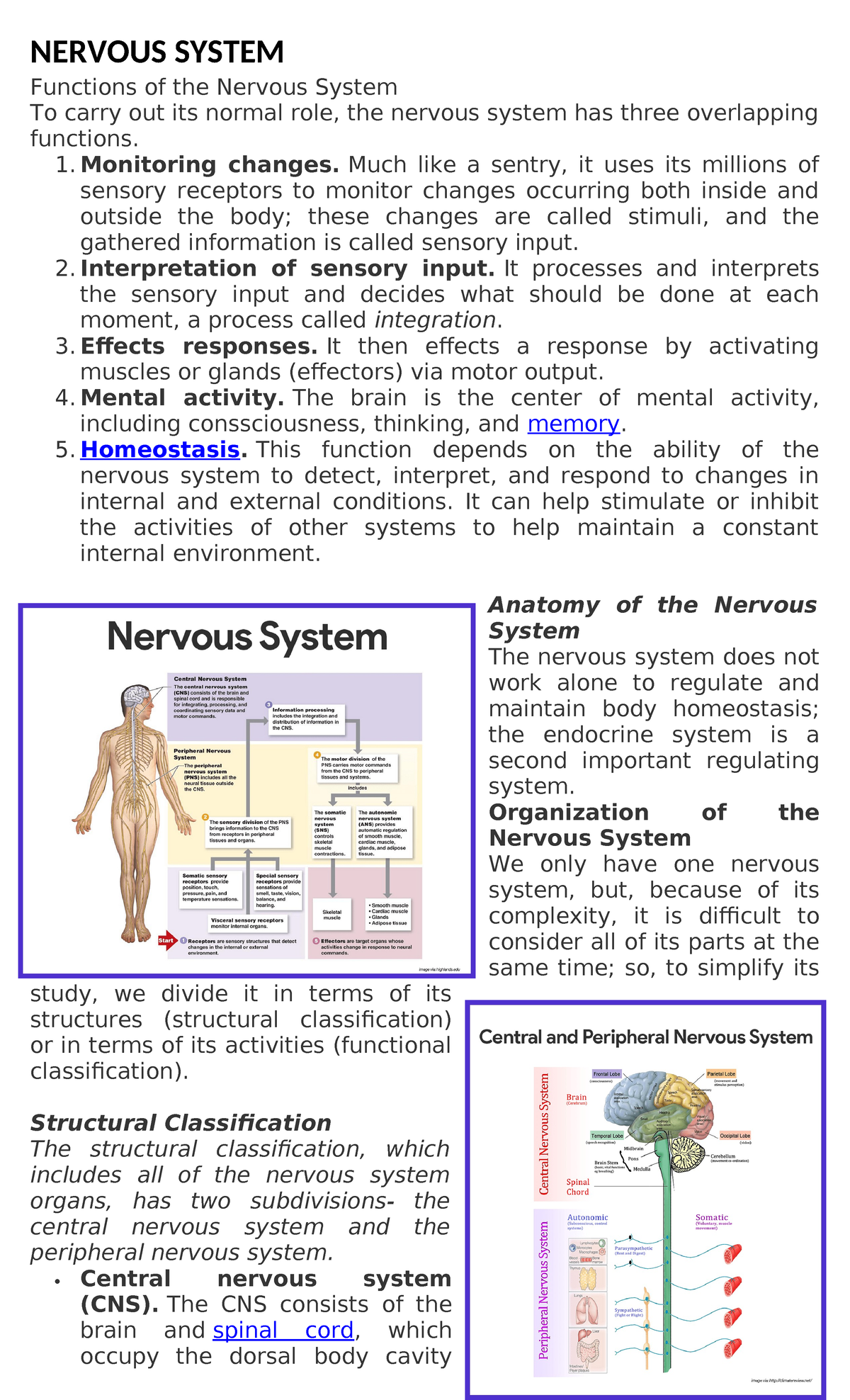 3rd Examination - reviewer - NERVOUS SYSTEM Functions of the Nervous ...