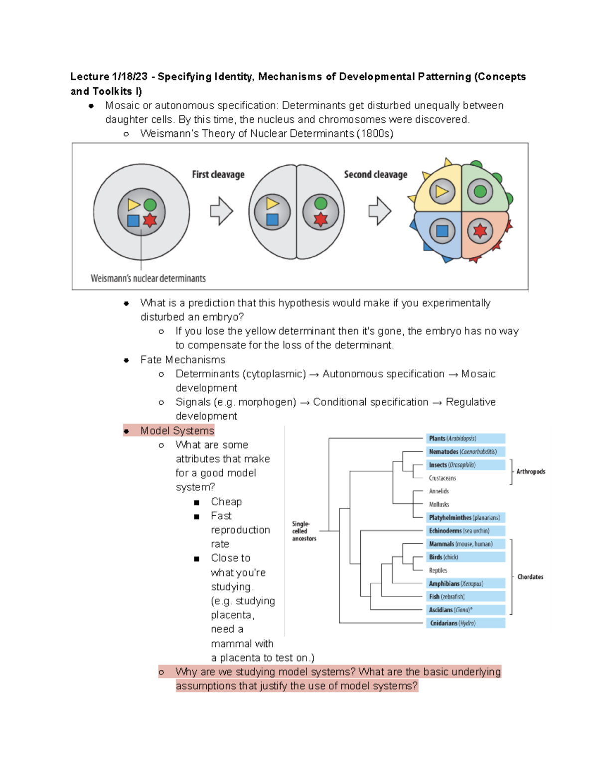 BIOL 223 - Lecture Notes - Lecture 1/18/23 - Specifying Identity ...
