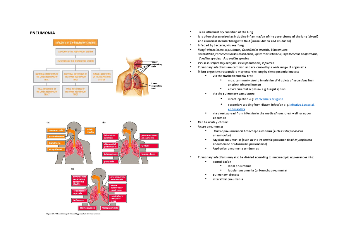 Pneumonia - Summary Oxford Handbook of Clinical Medicine - PNEUMONIA ...