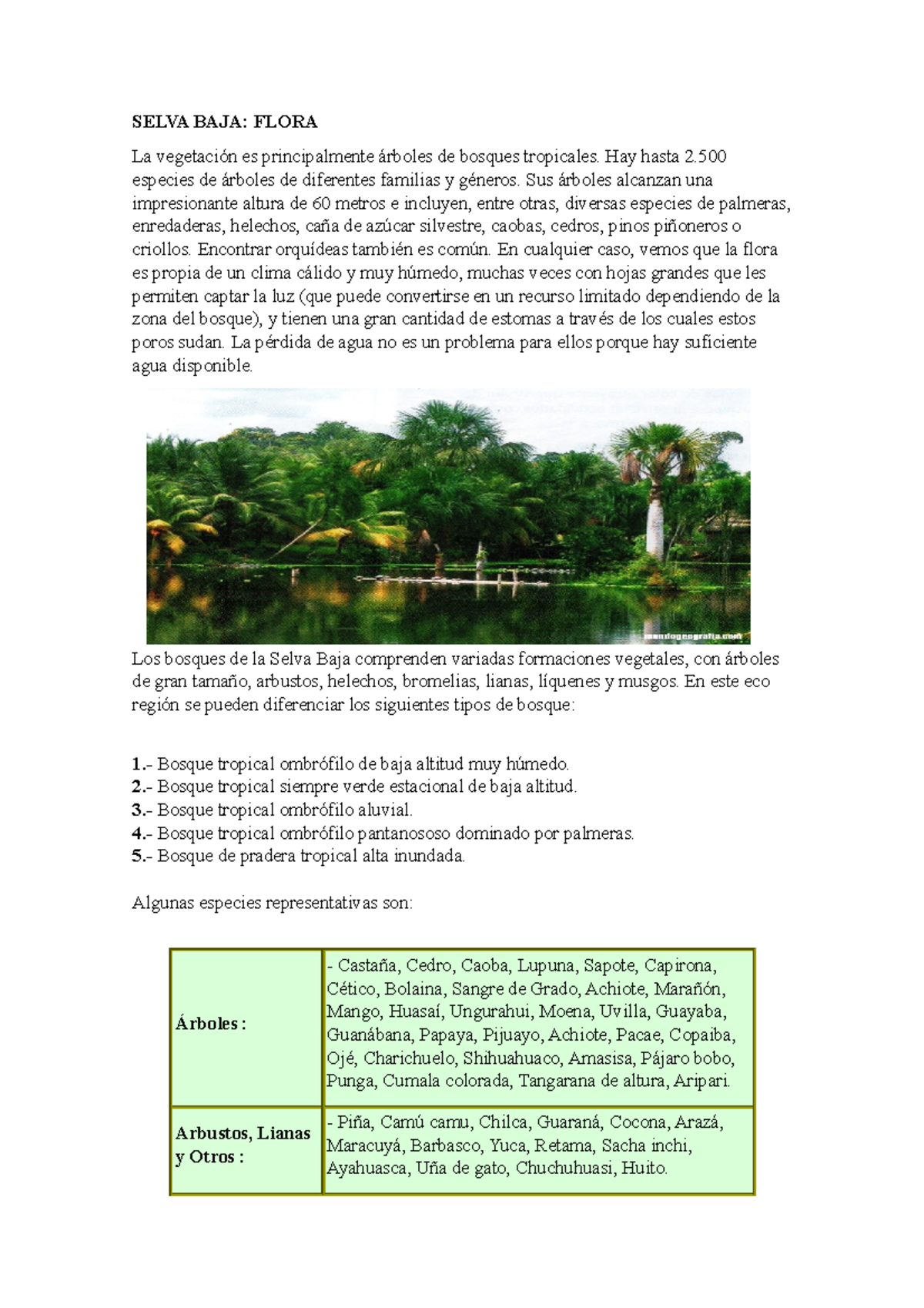 Selva BAJA dar - 1111 - SELVA BAJA: FLORA La vegetación es ...