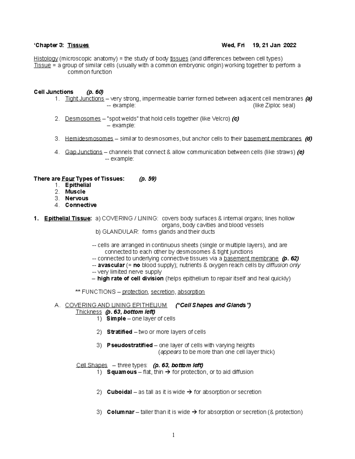 Anatomy ch - Notes about the tissues - ‘Chapter 3: Tissues Wed, Fri 19 ...
