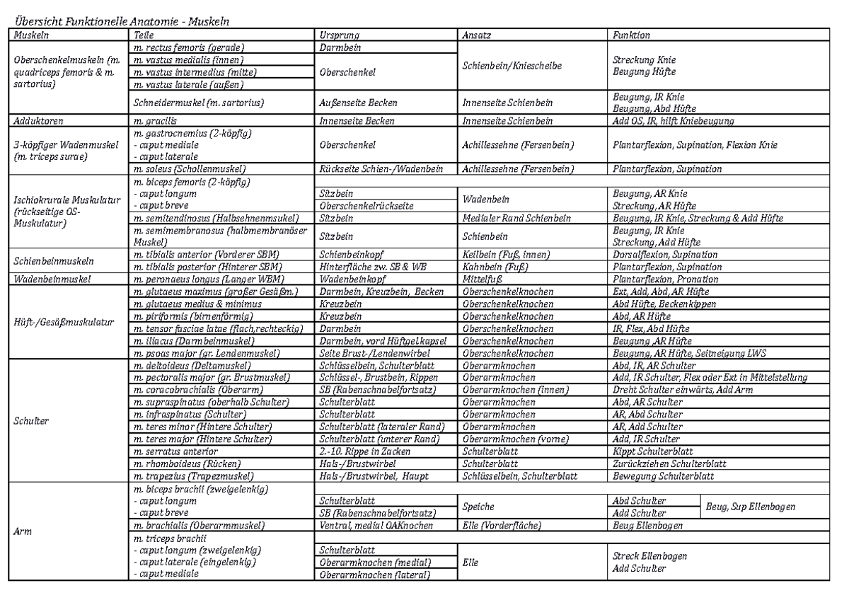 Übersicht Funktionelle Anatomie - Muskeln - quadriceps femoris & m ...