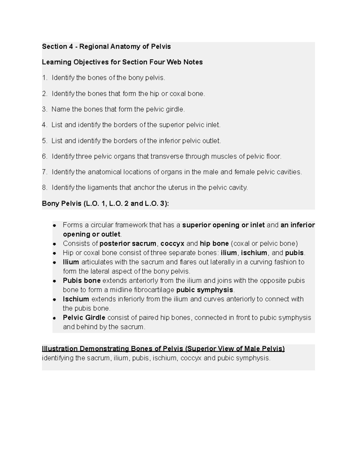 PALM 205 - MOD 3 - SEC 4 - Web Notes for Section 4 - Section 4 ...