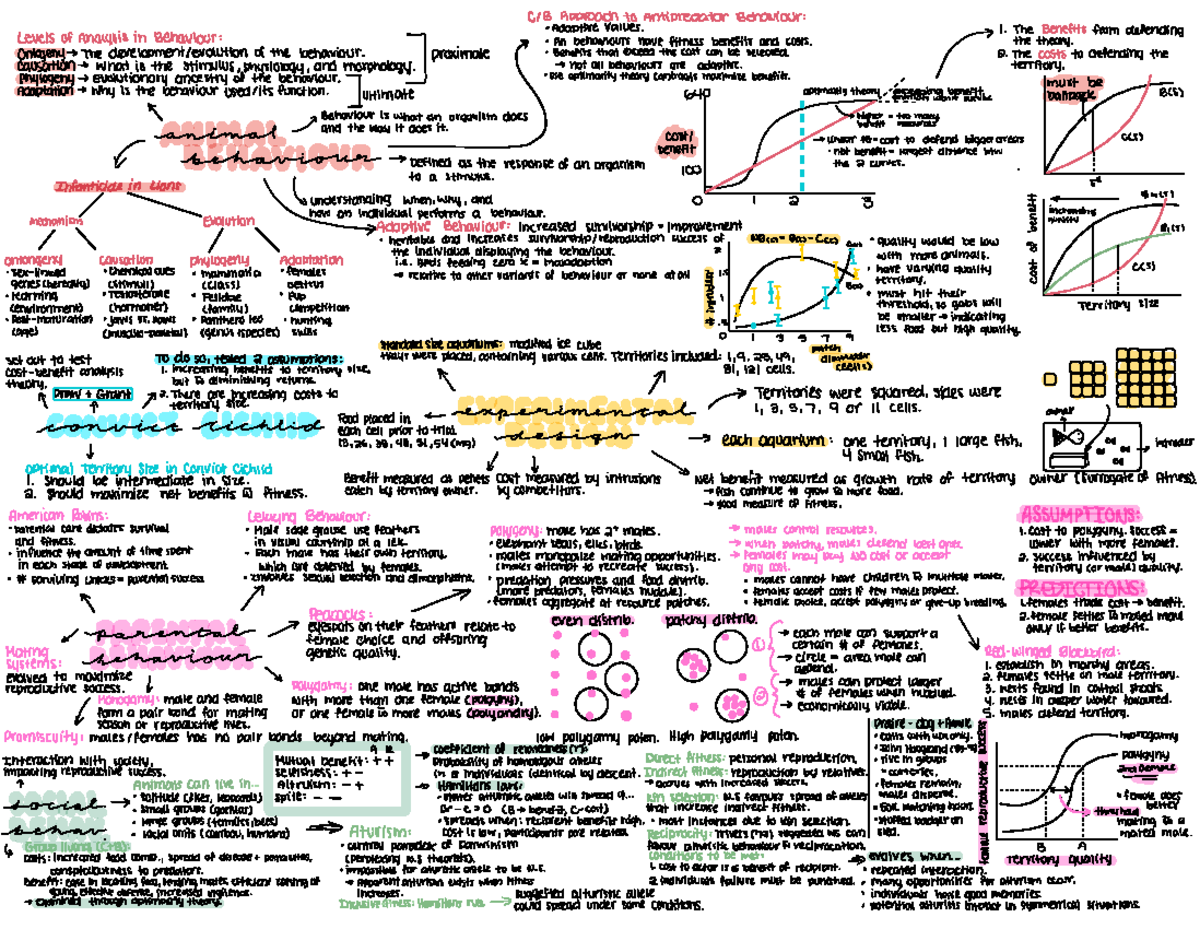 Chapter 44 summary mindmap - 03 55 140 - Studocu