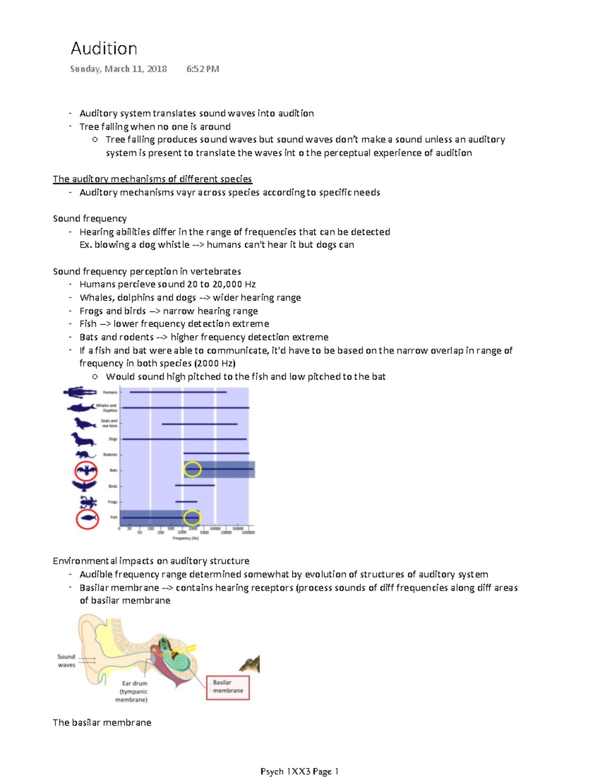 Audition Module Notes Lecture Notes Warning Tt Undefined Function 32 Warning Tt