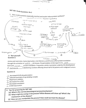 Crohn's Disease Concept Map - mid onset same asvc teens After 604 ...