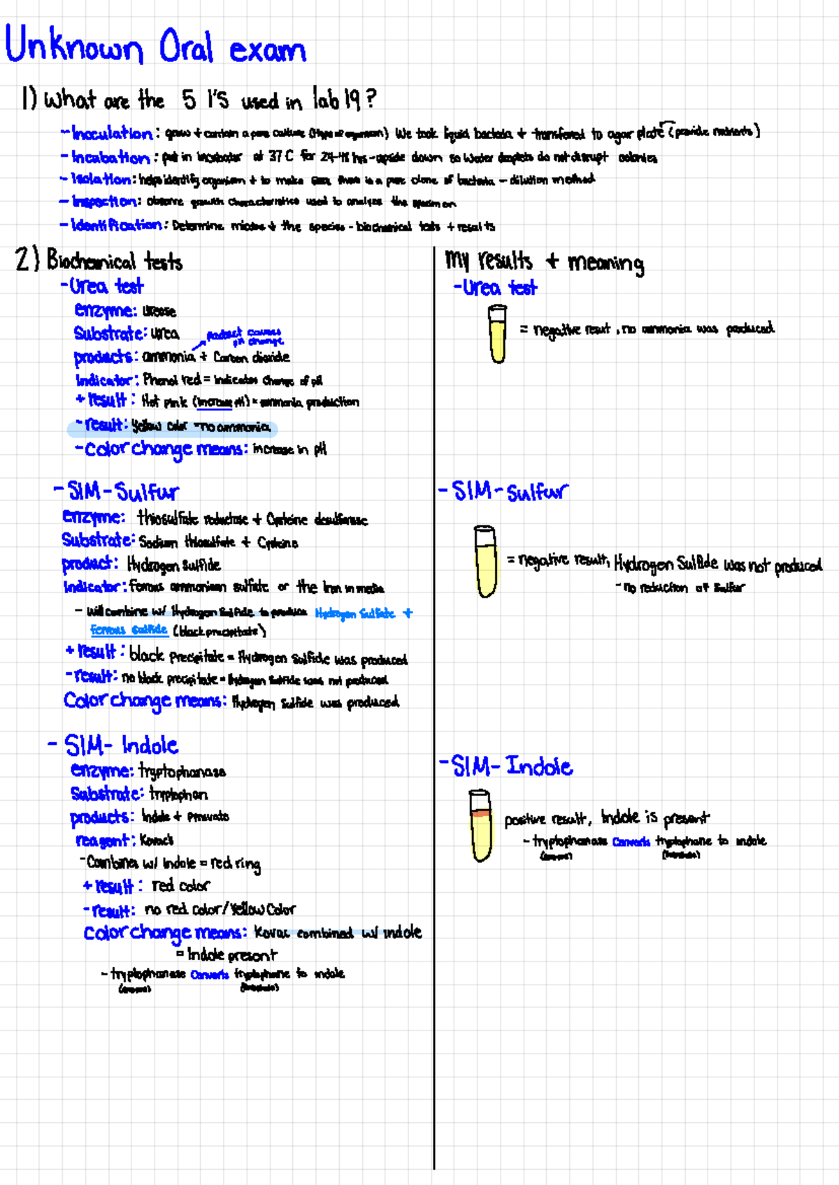 Microbiology unknown objectives - Unknown Oral exam / What are the 5 1 ...