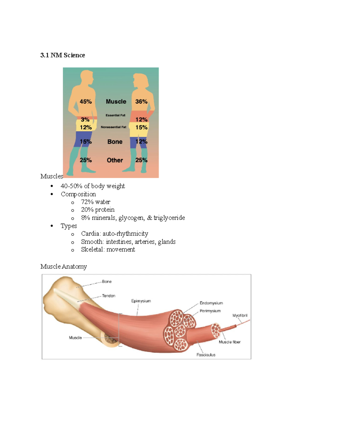 KNES214 NM Science - Dr. Lindle - 3 NM Science Muscles 40-50% of body ...