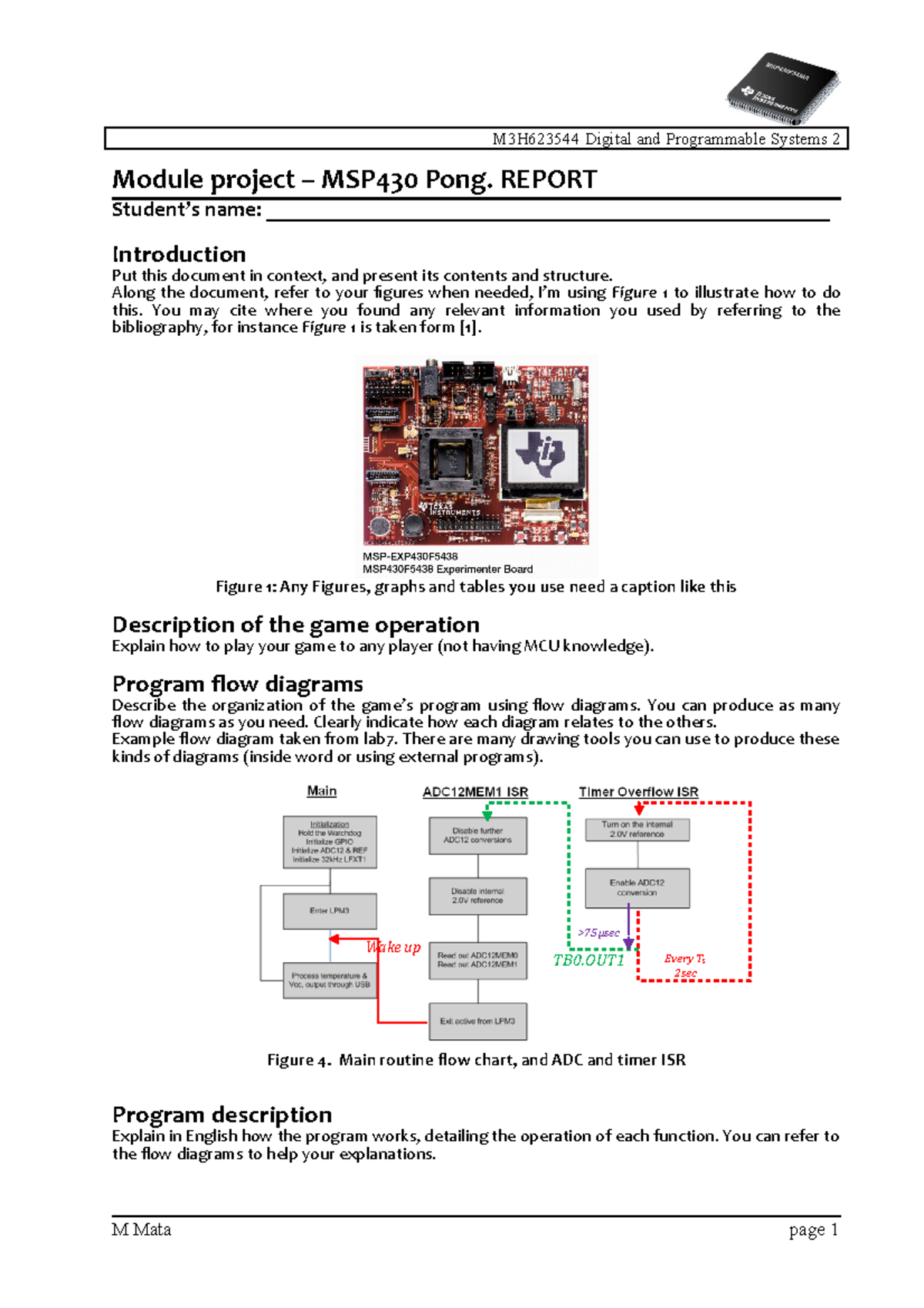 Project PONG Report Template - M3H623544 Digital and Programmable ...