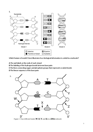 Sat math practice test 1 answers - SECTION 2 A Answer this question in ...