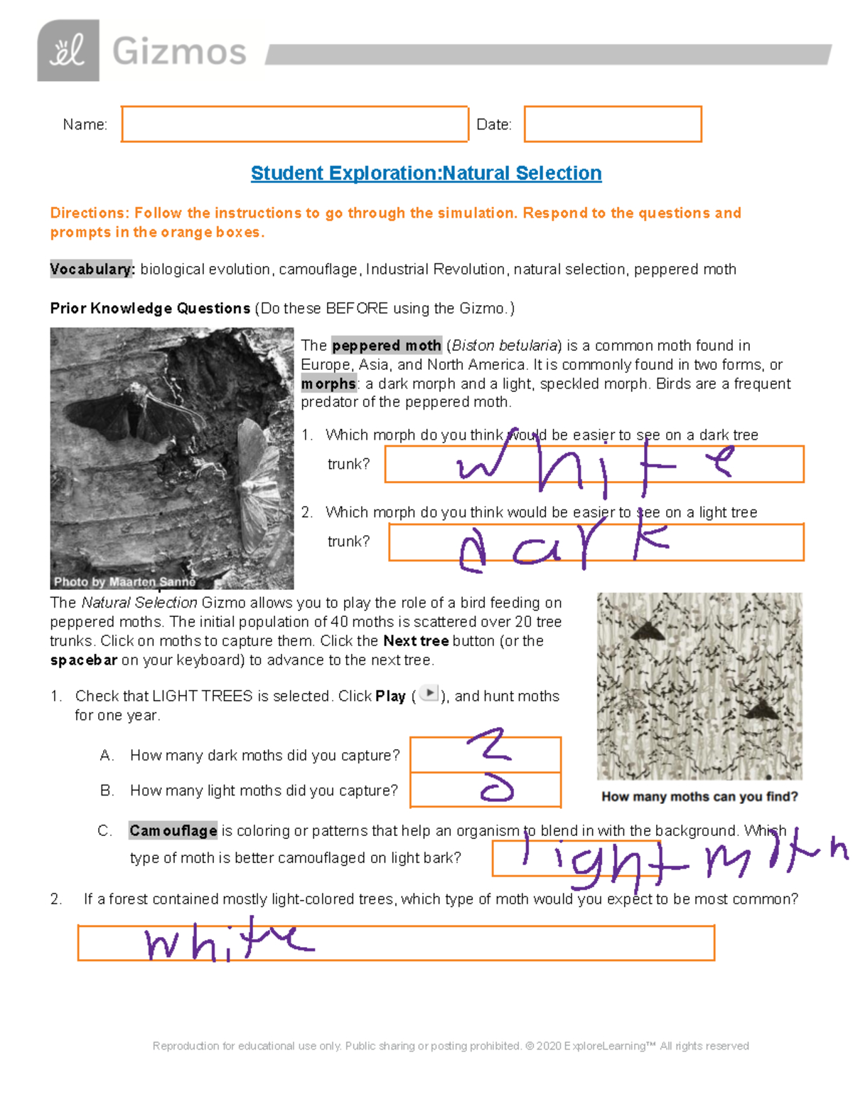 Copy of Natural Selection SE - Name: Date: Student Exploration:Natural ...